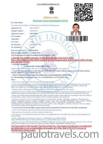 India e-visa template in Word and PDF formats
