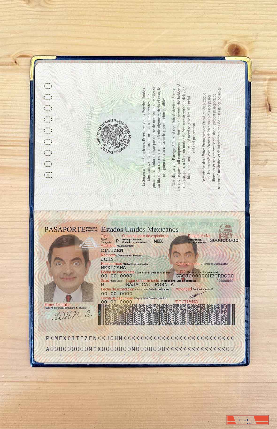 Mexico passport photo look PSD template