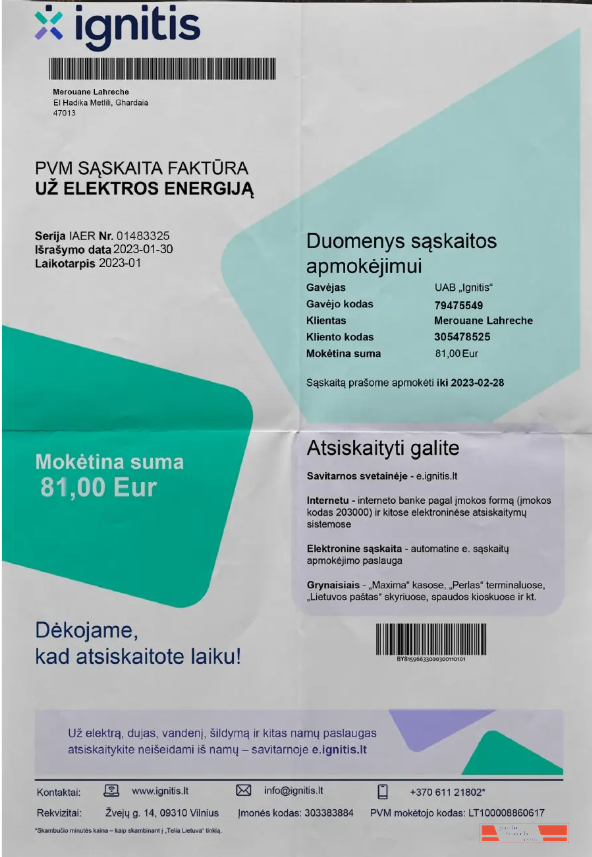 LITVA IGNITIS utility bill Word and PDF template